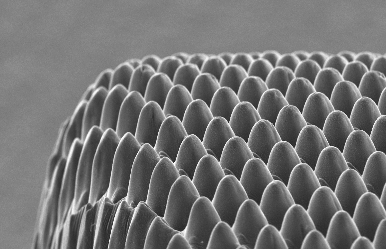 Rayleigh length | Scanlab